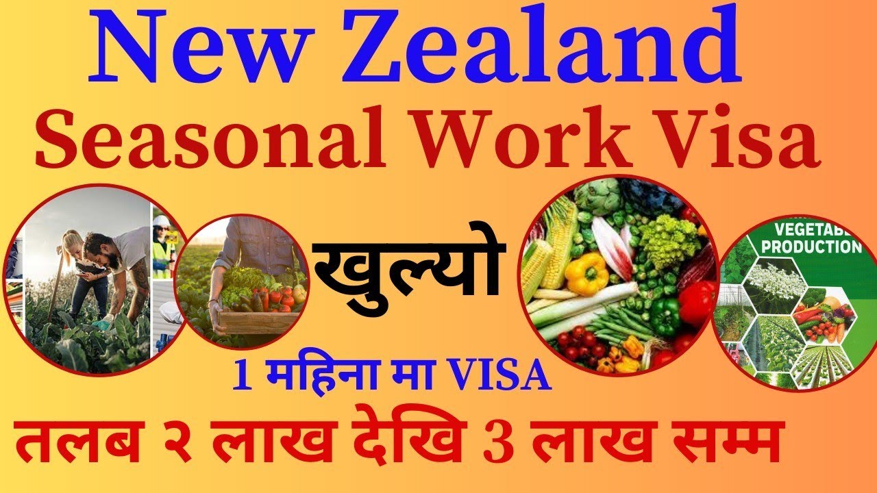 New Zealand Seasonal Work Visa New Zealand Seasonal Work Permit 2025 new-zealand-seasonal-work-visa-new-zealand-seasonal-work-permit-2025
