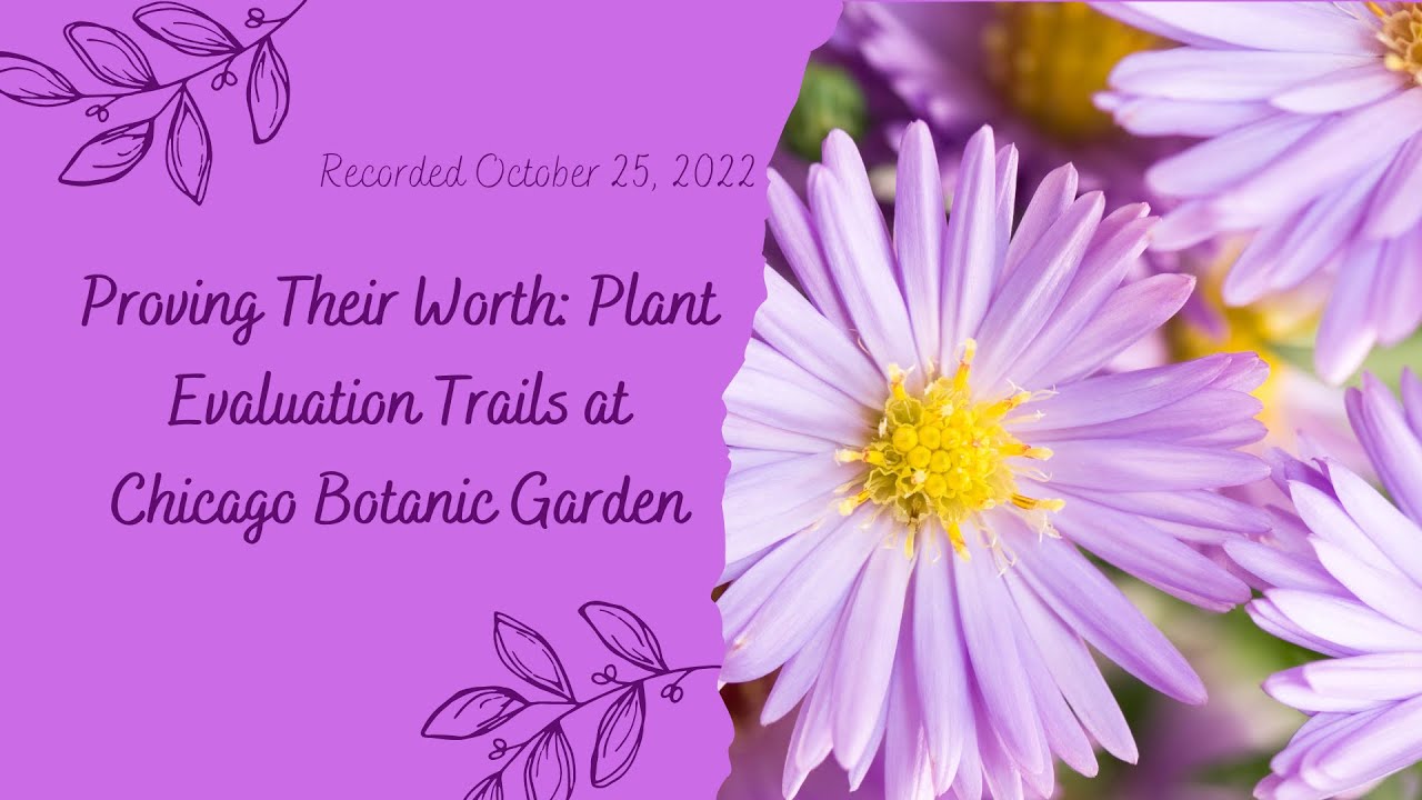 Proving their Worth: Plant Evaluation Trials at Chicago Botanic Garden ...