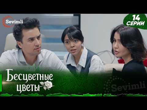 Бесцветные цветы 14 серия на русском языке Rangsiz gullar 14 qism Rus tilida