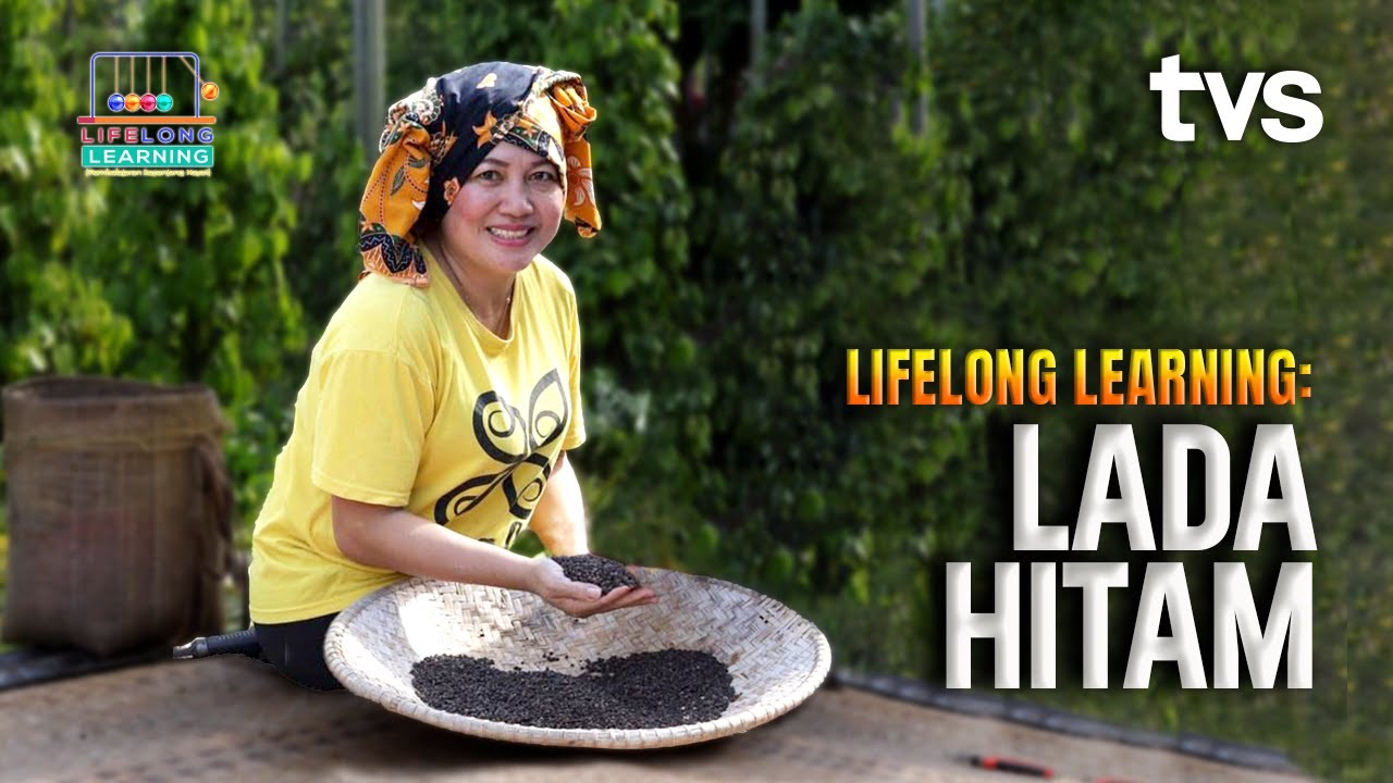 INOVASI LADA HITAM | LIFELONG LEARNING MUSIM 2 | TVS Entertainment - YouTube