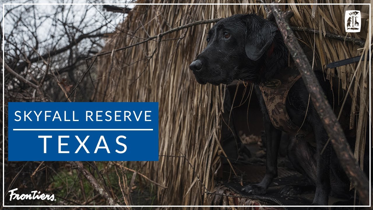 Skyfall Reserve | United States - YouTube