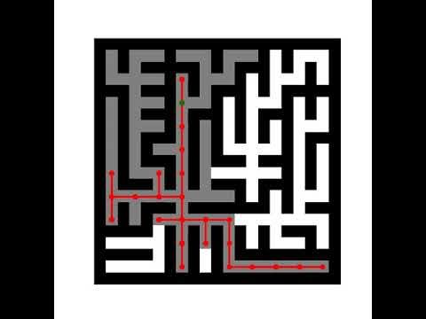 Prim's Maze Solved with Random Mouse Algorithm Animation - YouTube