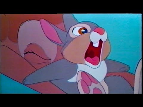 Disney mainoksia Disney VHS-kasetilta #62: Robin Hood (0228/20) {1080p50}