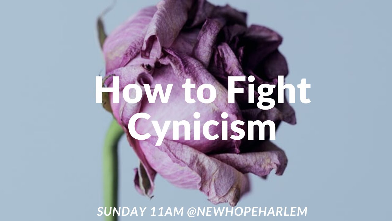 How to Fight Cynicism - YouTube