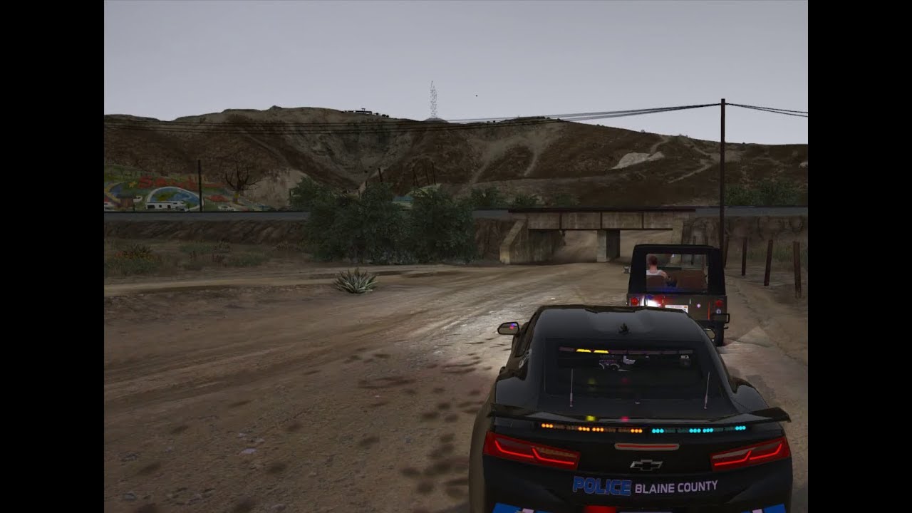 GTA V FiveM RP - Rollin Patrollin -Traffic Stop Simulator - YouTube