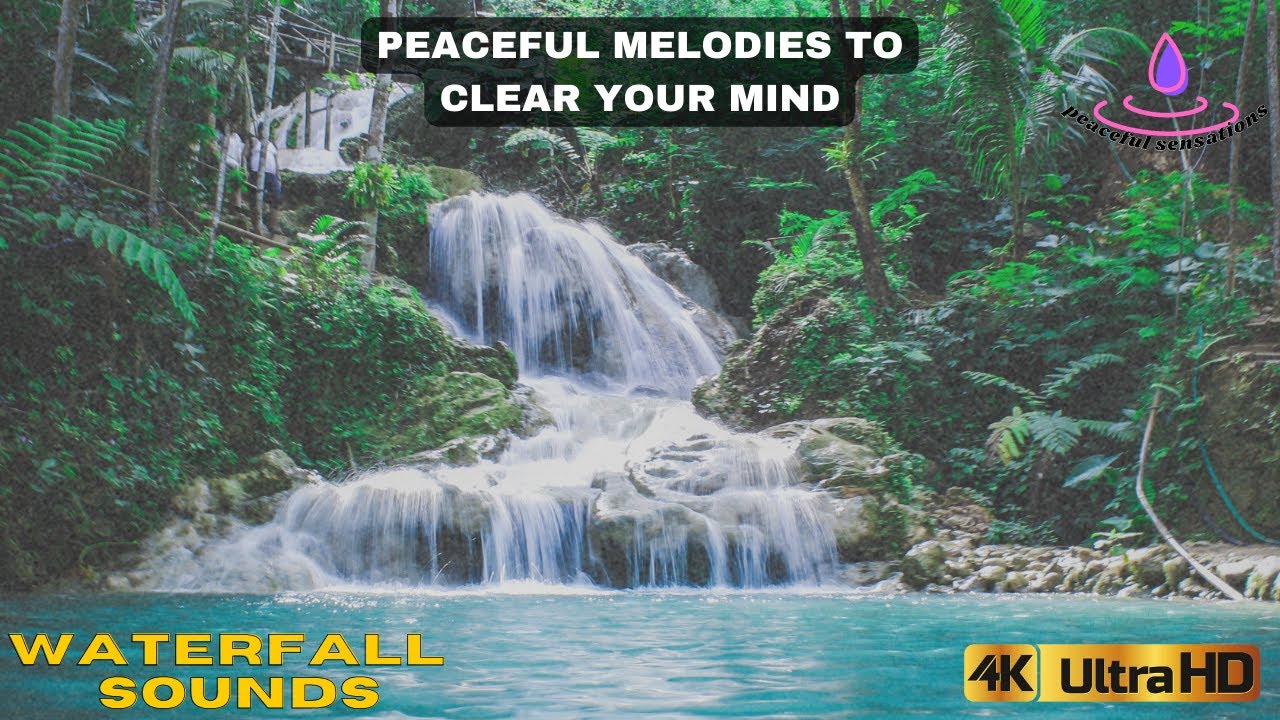 Meditation Music for Relaxation: Peaceful Melodies to Clear Your Mind ...