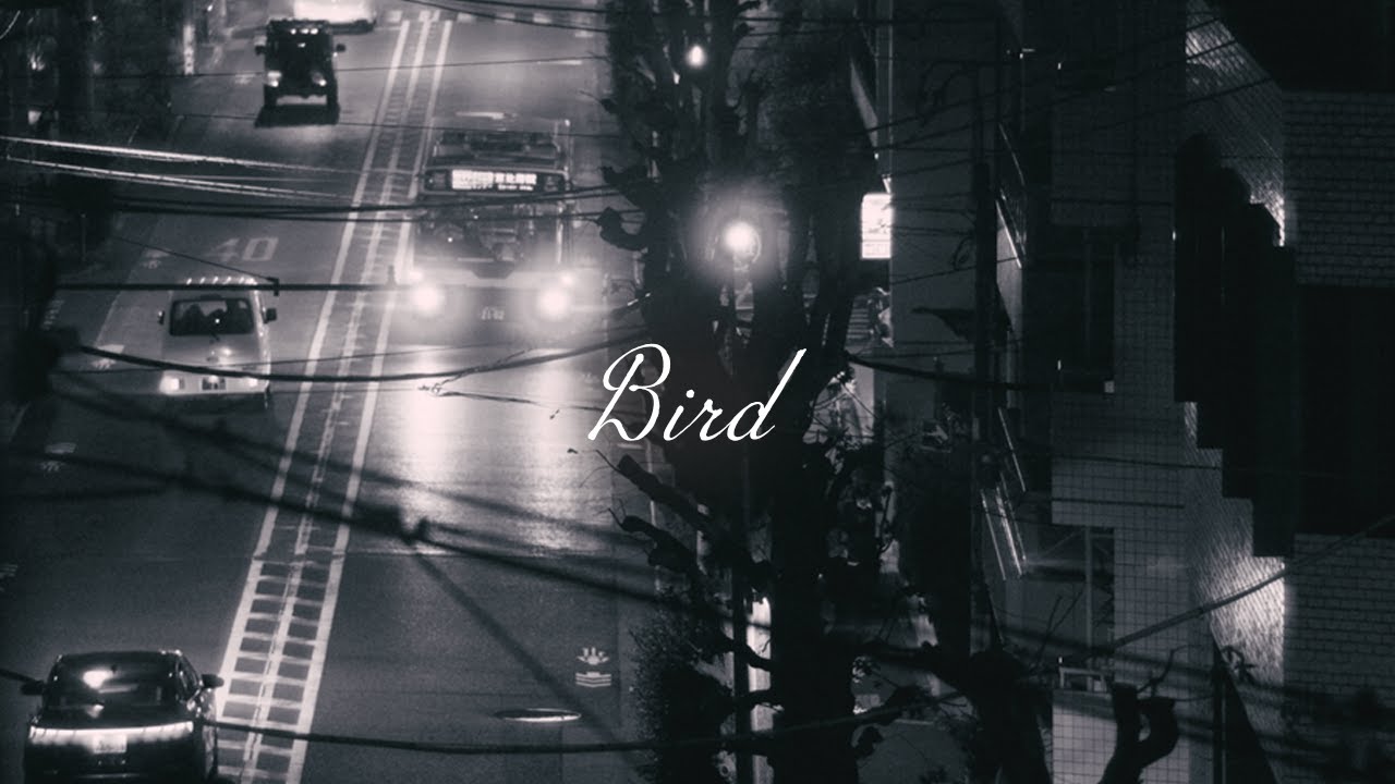 TATETO - BIRD (Official Video) feat. 森川剣人(Life Sonice) - YouTube