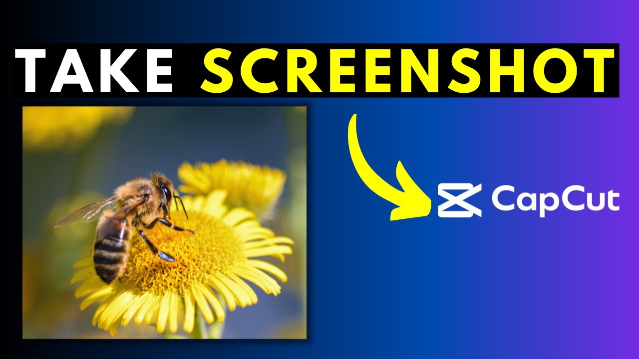 How to Take Video Screenshots in CapCut for Windows PC - Export Still Frame in CapCut - YouTube