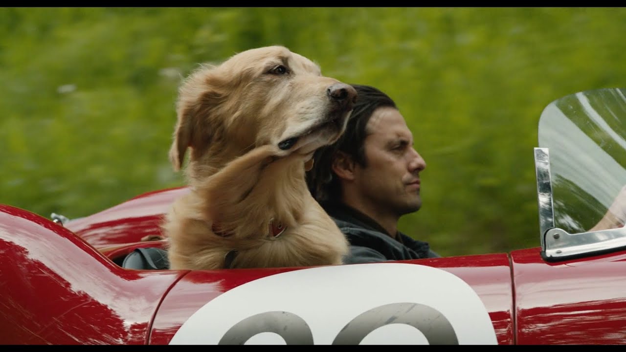 movie The Art of Racing in the Rain ending scene script - YouTube