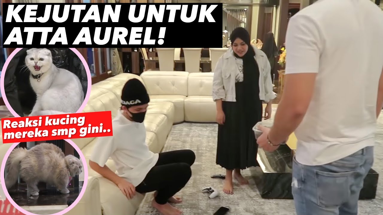 ANGGOTA BARU KELUARGA AHHA! SELAMAT ATTA DAN AUREL.. - YouTube