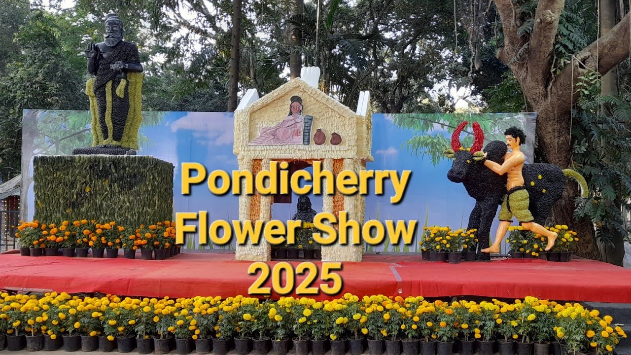 Pondicherry Flower Show 2025#flowershow#pondicherry#botanicalgarden# ...