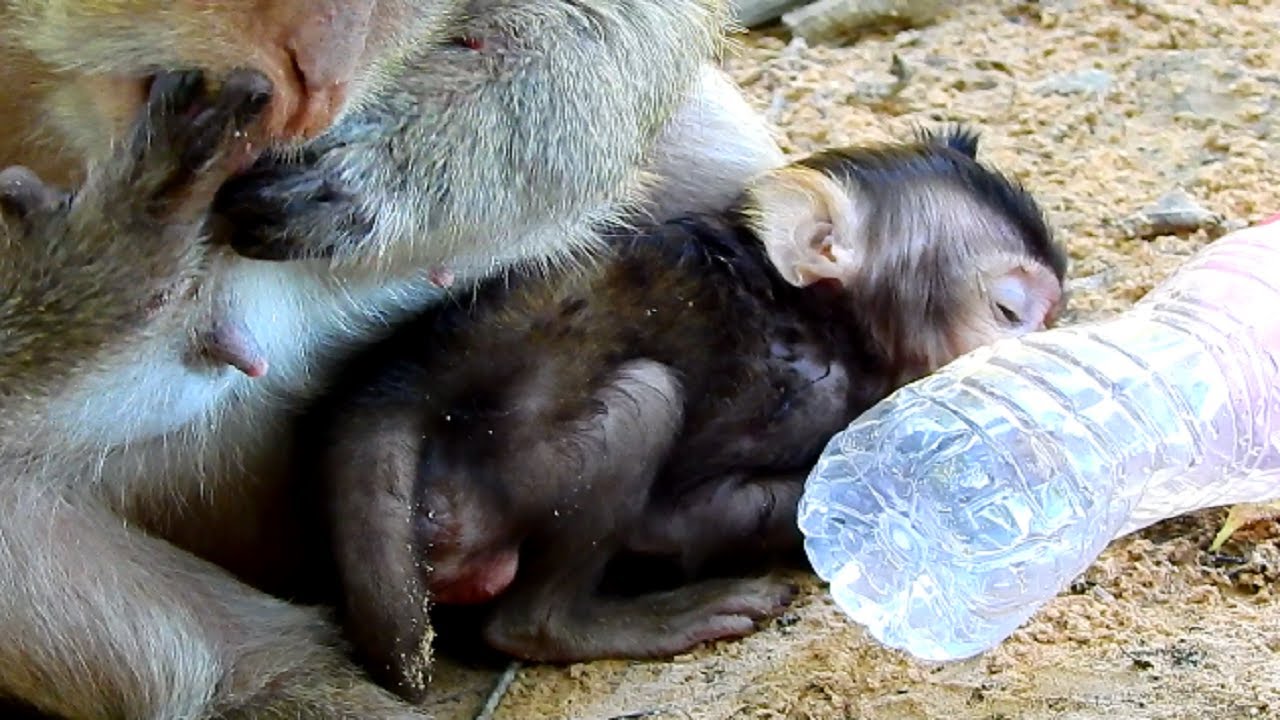 Oh My Godness Help! Brittany Painful sleeping Like This! So Mercy ...