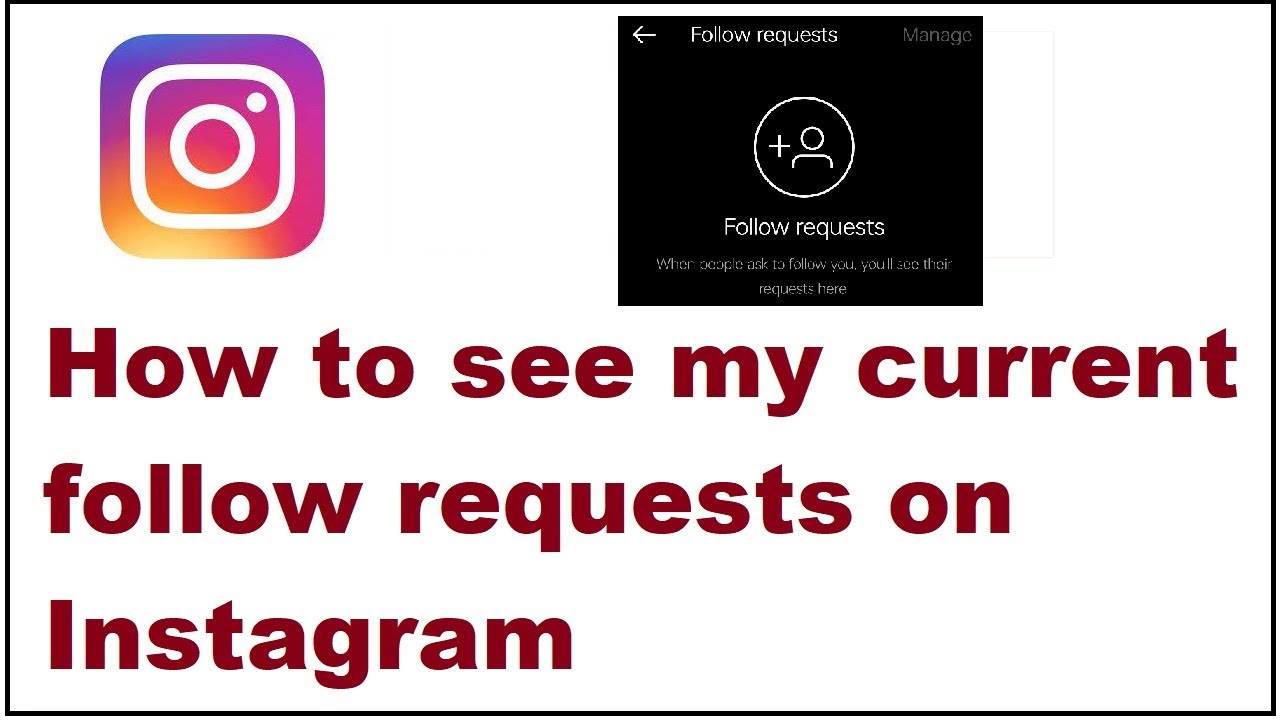 How To See My Current Follow Requests On Instagram YouTube how-to-see-my-current-follow-requests-on-instagram-youtube