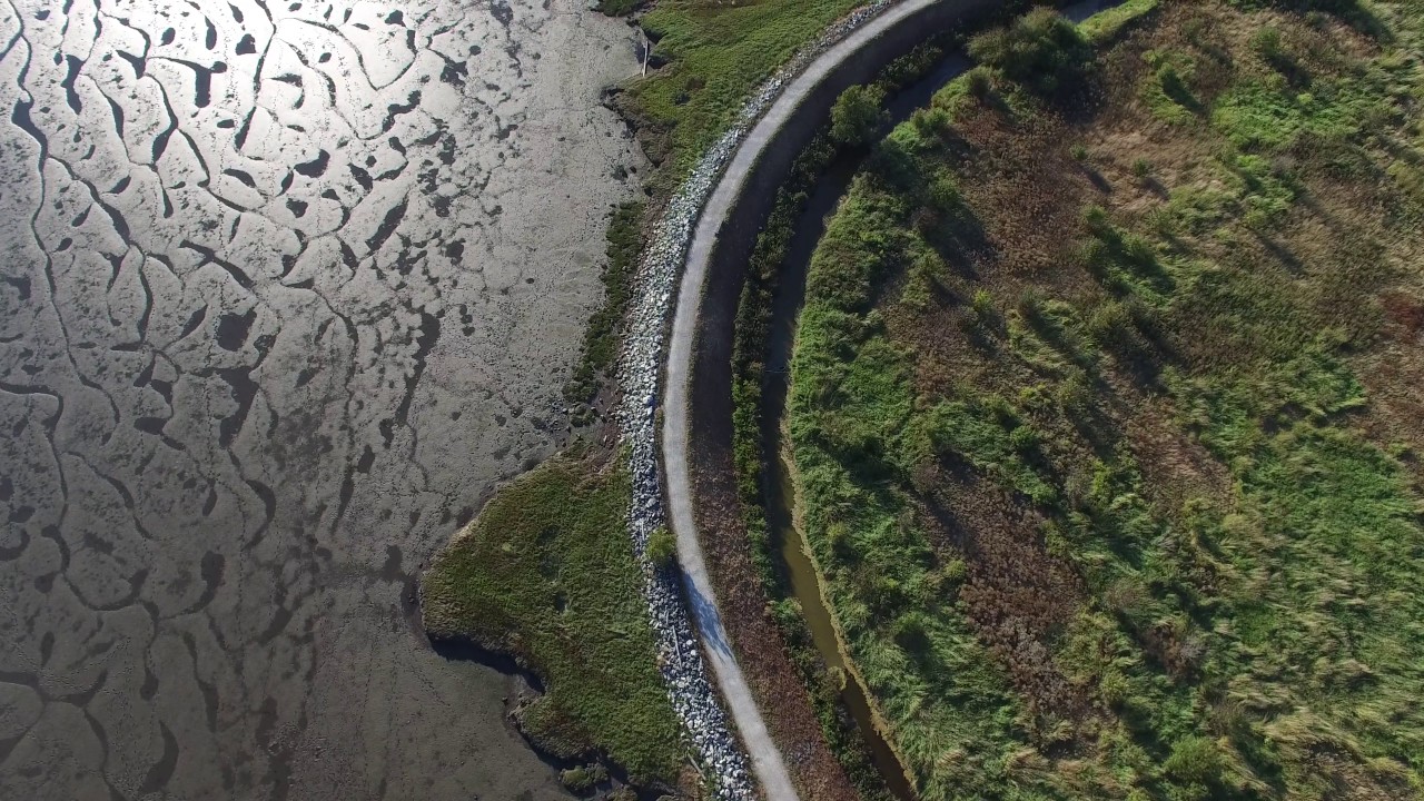 Mud Bay, Surrey, Canada - YouTube