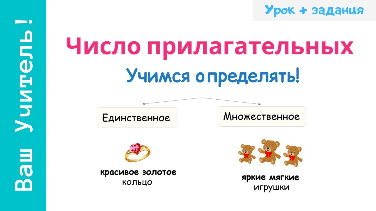 Единственное и множественное число прилагательных Как определить число