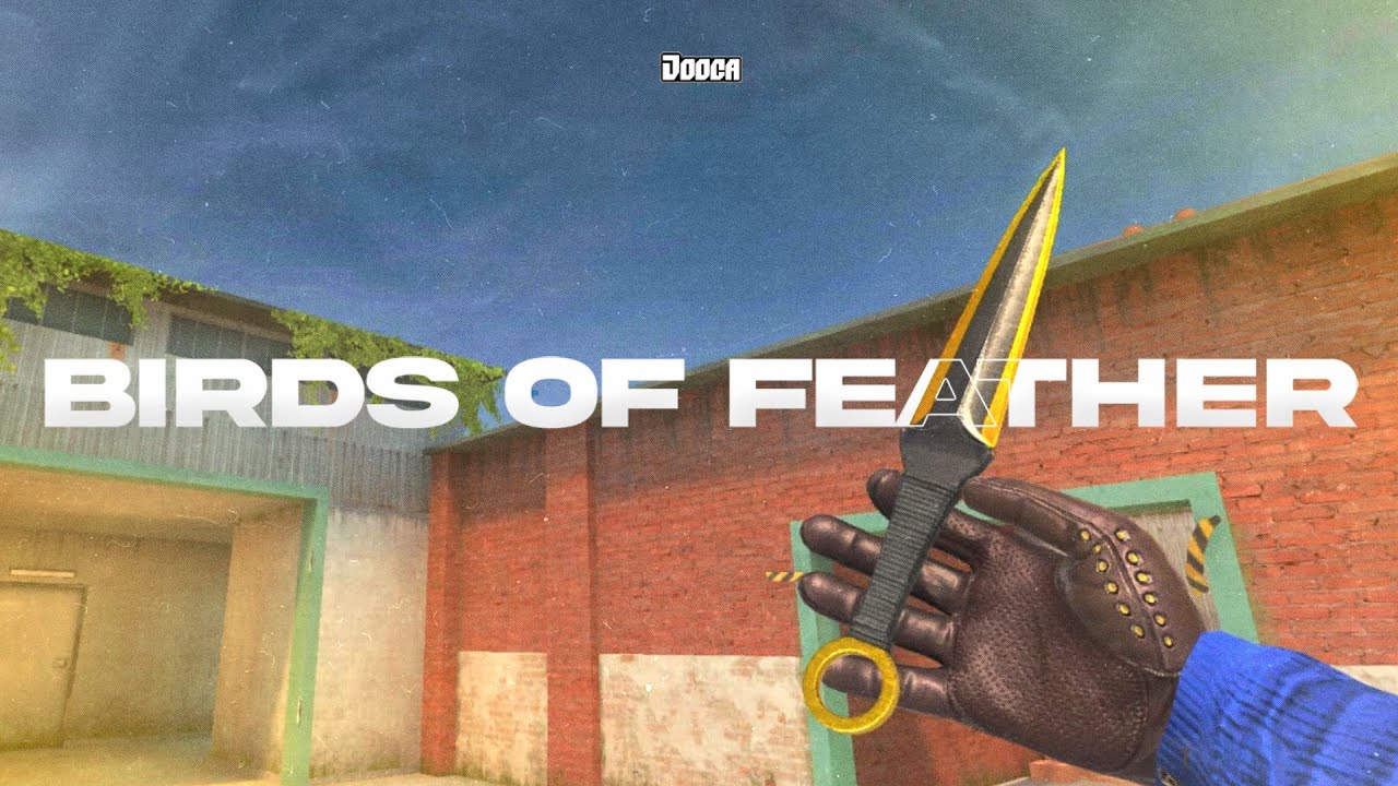 Birds of a Feather 💙 | Standoff 2 Highlights - YouTube