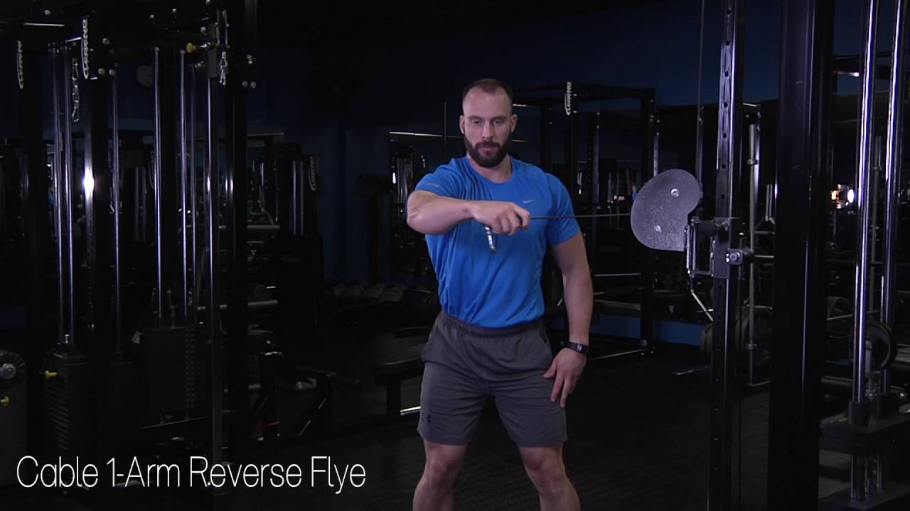 cable one arm reverse flye - YouTube