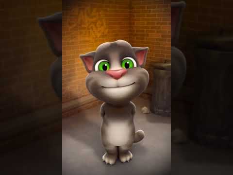 TALKING TOM FART POOP SONG - YouTube