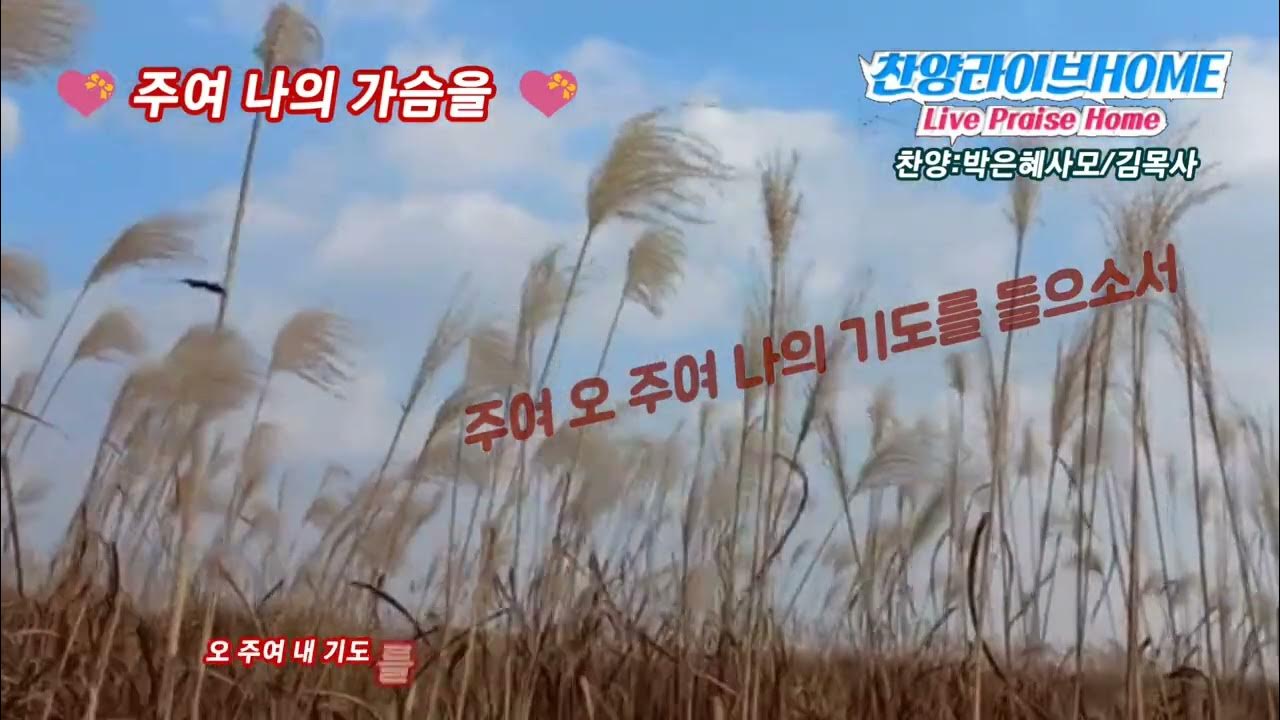 주여나의가슴을 찬양 박은혜사모 김목사 Youtube