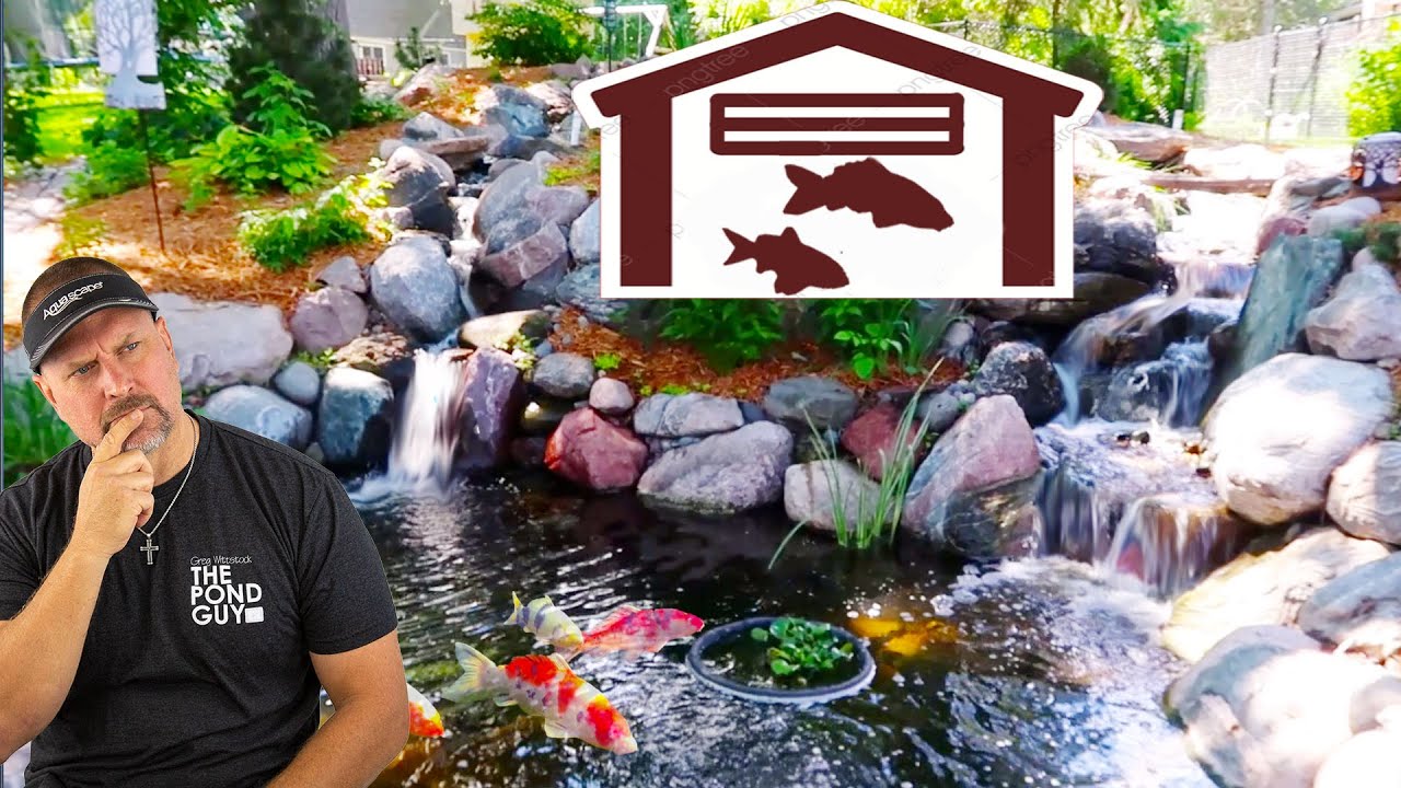 *POND RENOVATION* and Raising Fish in a Garage - YouTube