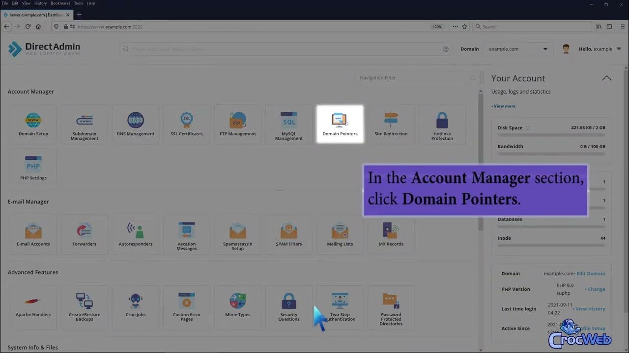 How to remove the alias domain in DirectAdmin - CrocWeb Cloud - YouTube
