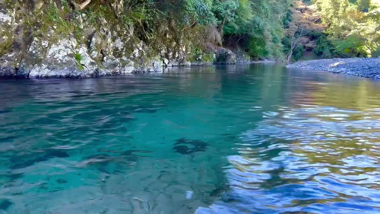 Beautiful Japan* Environmental sounds/Nature*Healing clear stream 清流 4K ...