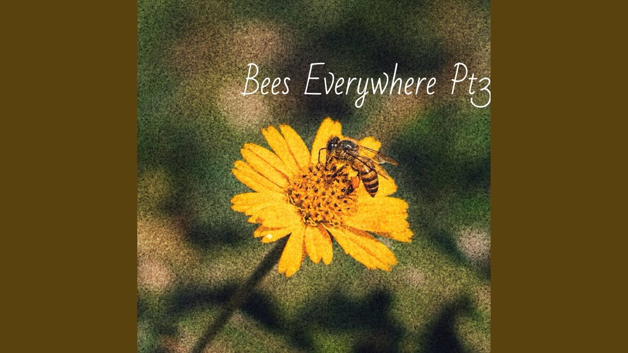 Bees Everywhere Pt3 - YouTube