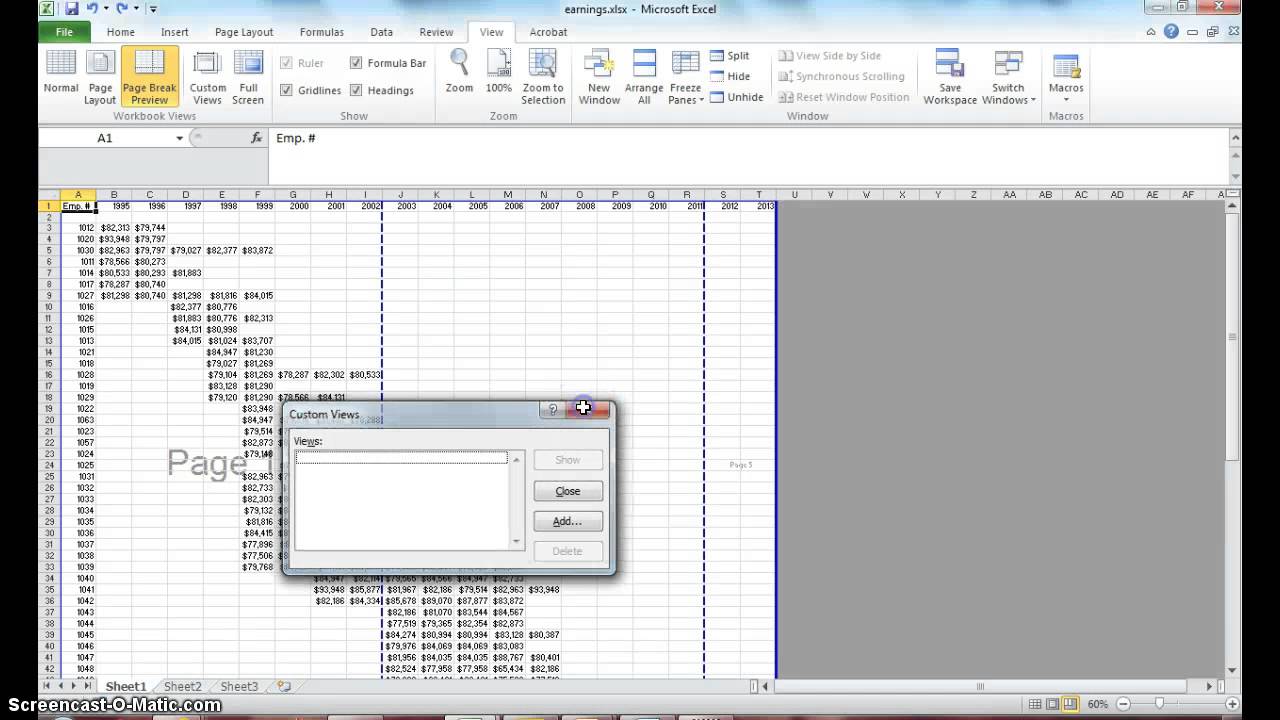 Step by Step 17.3: Excel View and Magnification - YouTube