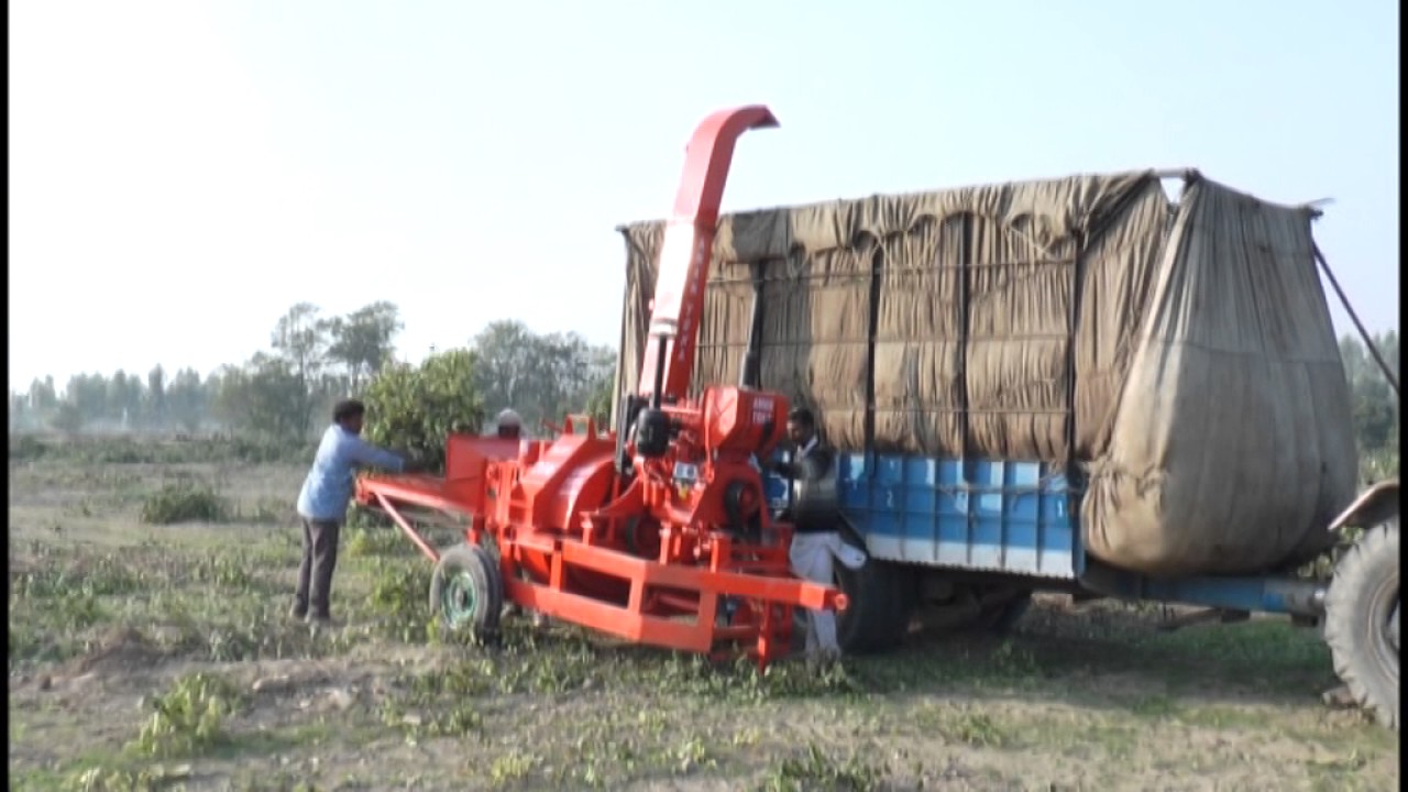 Chaff cutter cum Loader (self driven, diesel engine driven) AMAN TOKA ...