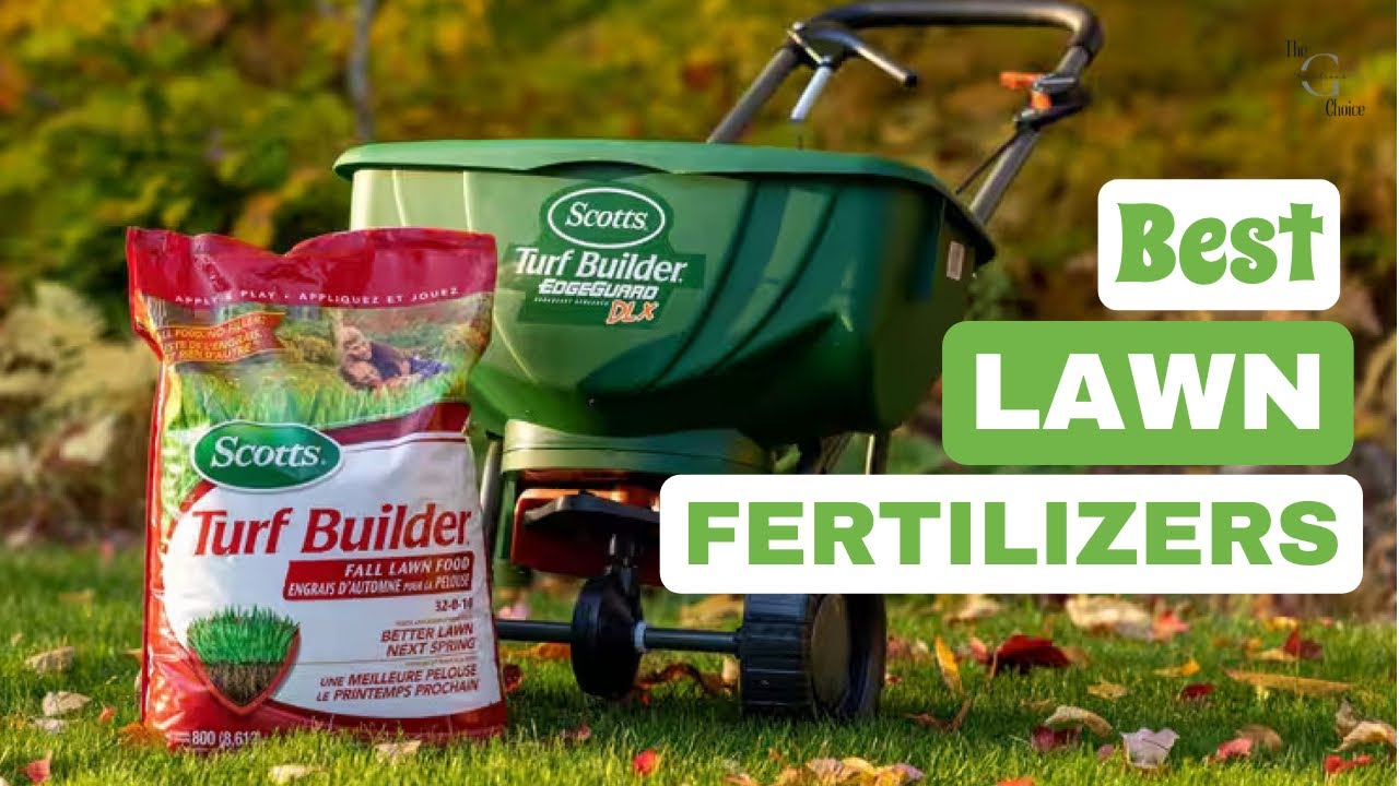 Best Lawn Fertilizers: Nourish Your Lawn to Perfection | The Guardians ...