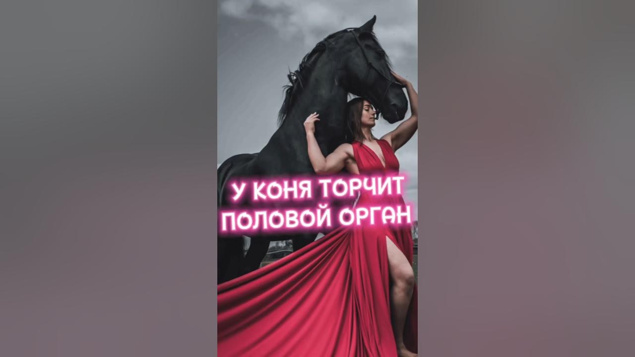 У КОНЯ БОЛТАЕТСЯ… - YouTube