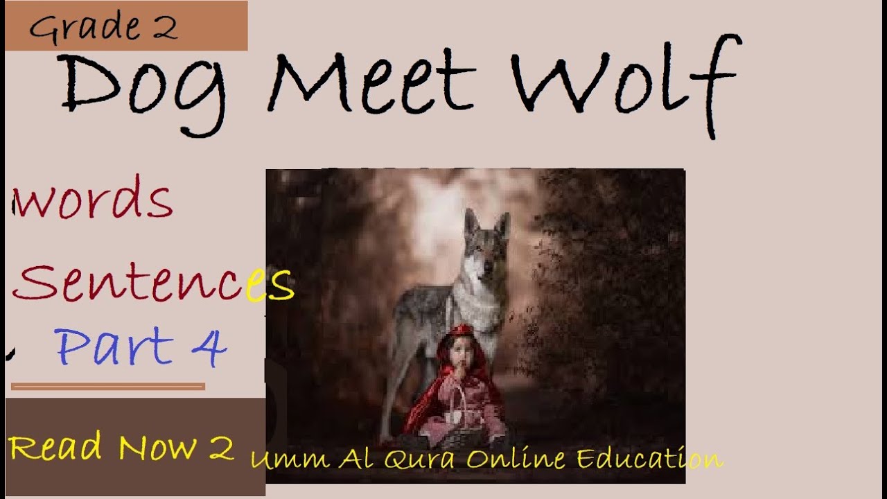Grade 2 | Read Now Book 3 | Dog Meet wolf | words sentences| Part 4 ...