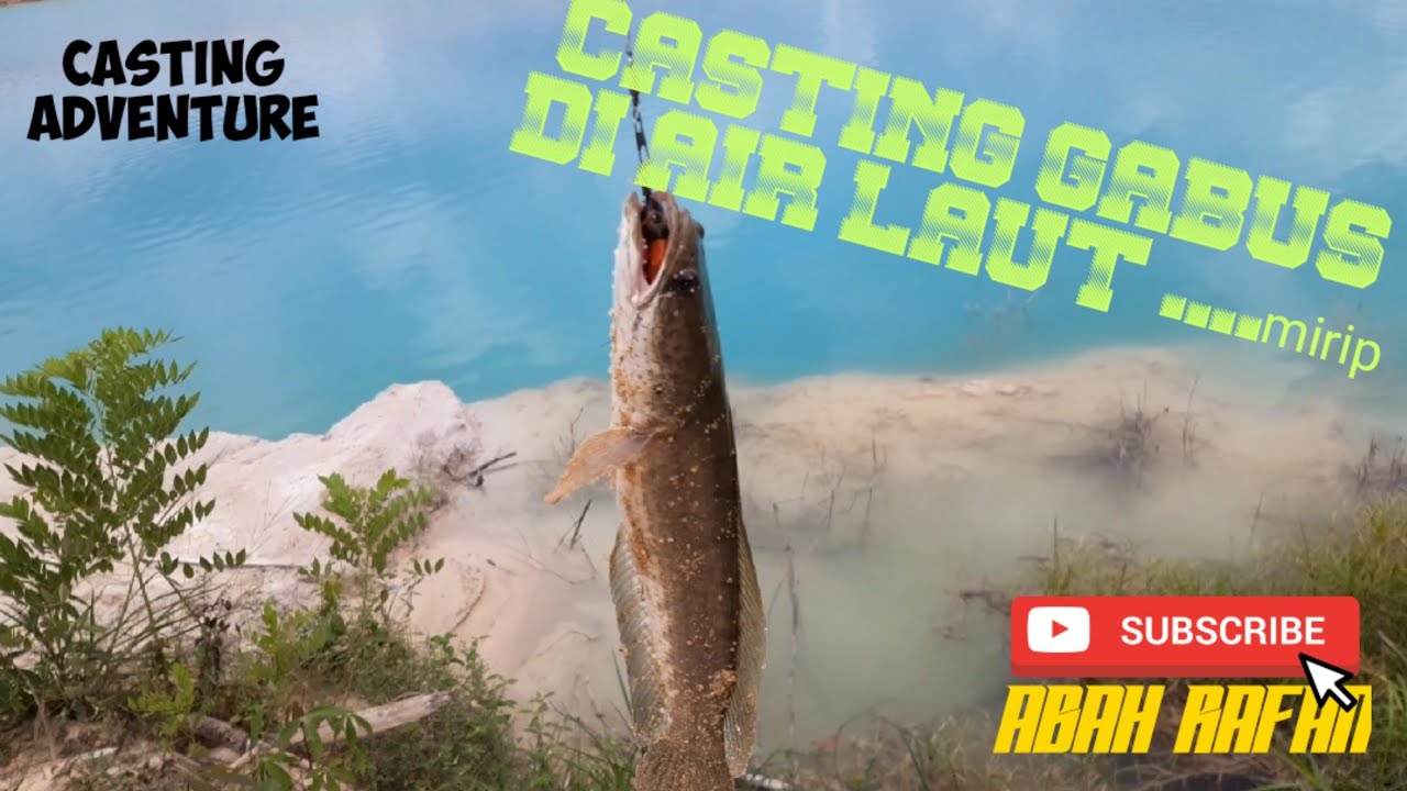 CASTING GABUS DI AIR LAUT - YouTube