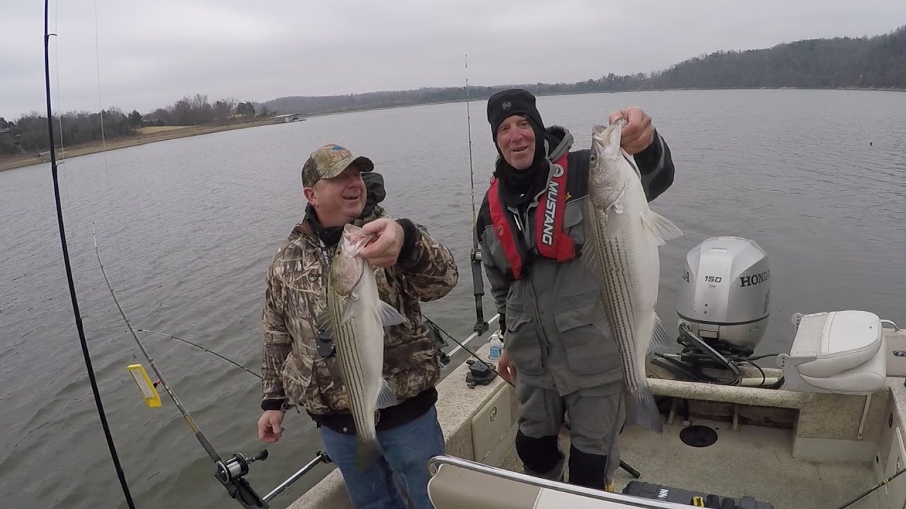 Beaver Lake fishing guides take a YOLOtek AquaStick Power out striper ...