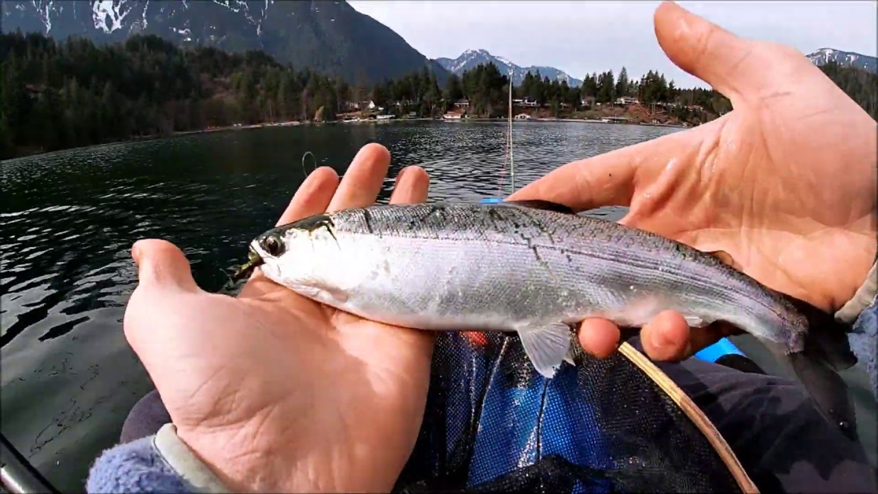 Weekend Fishing Trip Ep.1 Kawkawa Lake, Hope BC - YouTube