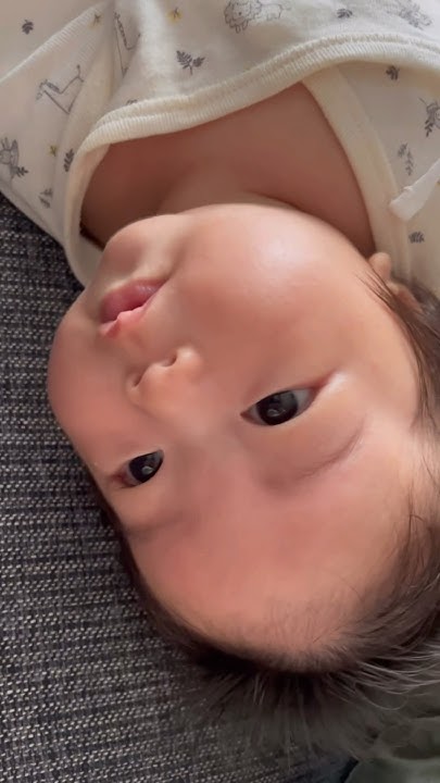 ガラが悪くてブサイクな赤ちゃん? 赤ちゃんのいる生活 生後2ヵ月 赤ちゃん Youtube