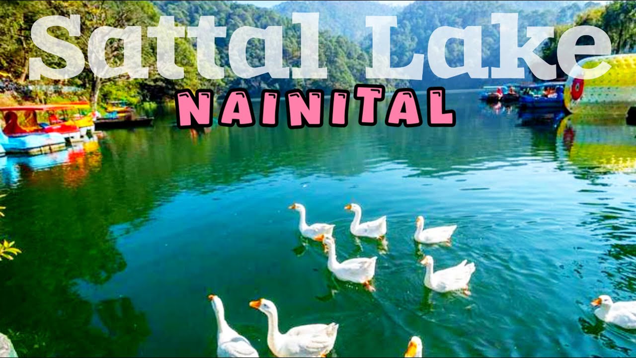 😱Most Beautiful Lake In Nainital Uttarakhand 🏞️ || Sattal Lake Nainital ...