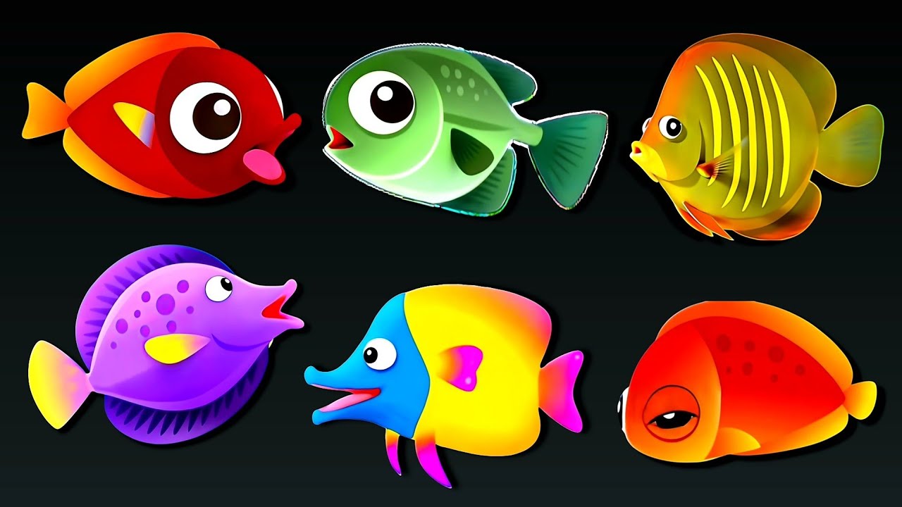 Fish Animation🐡🐠🐟 |Fishes 💤| - YouTube