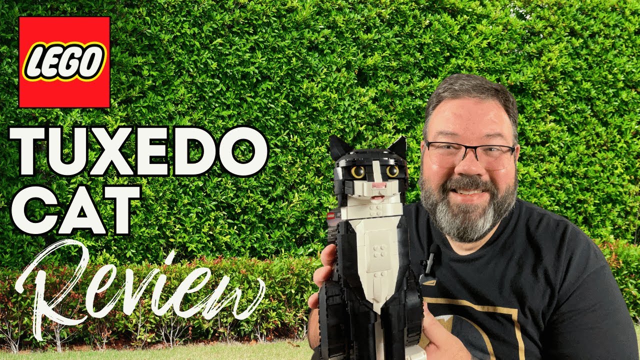 Here Kitty, Kitty | LEGO Tuxedo Cat | Build and Review - YouTube