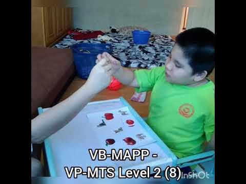VB-MAPP VP-MTS LEVEL 2(8) - YouTube