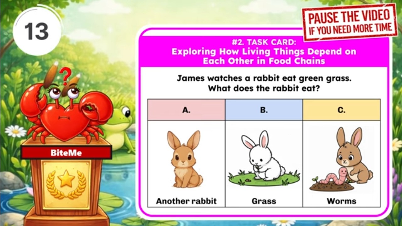 TEKS Science 1st Grade - 1.12C: How Living Things Depend on Each Other ...