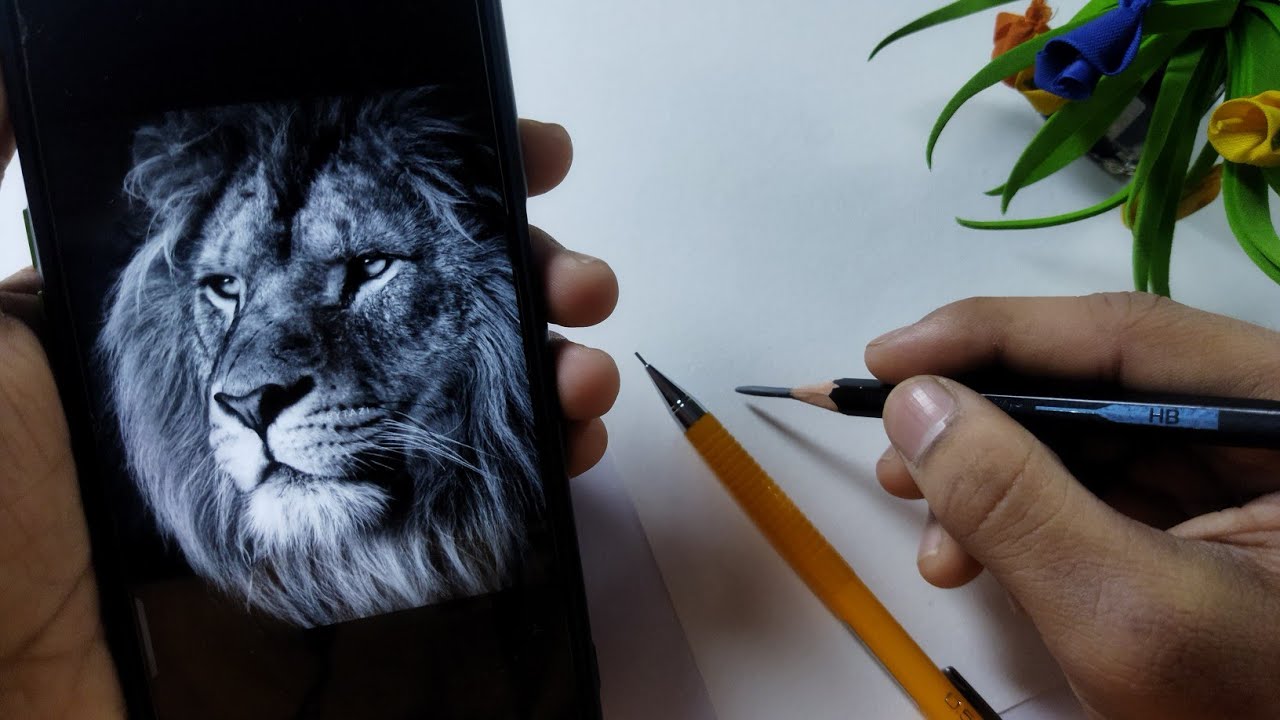 How to Draw Lion Easy Step by Step | Lion Drawing | Part-1 🦁 - YouTube