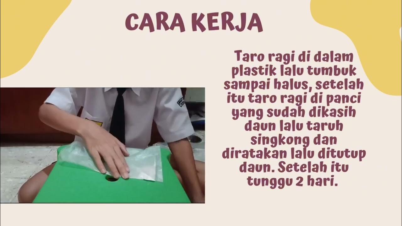 STEM Fermentasi Tape Singkong - Matthew Vincentius - 7C - 21 - YouTube