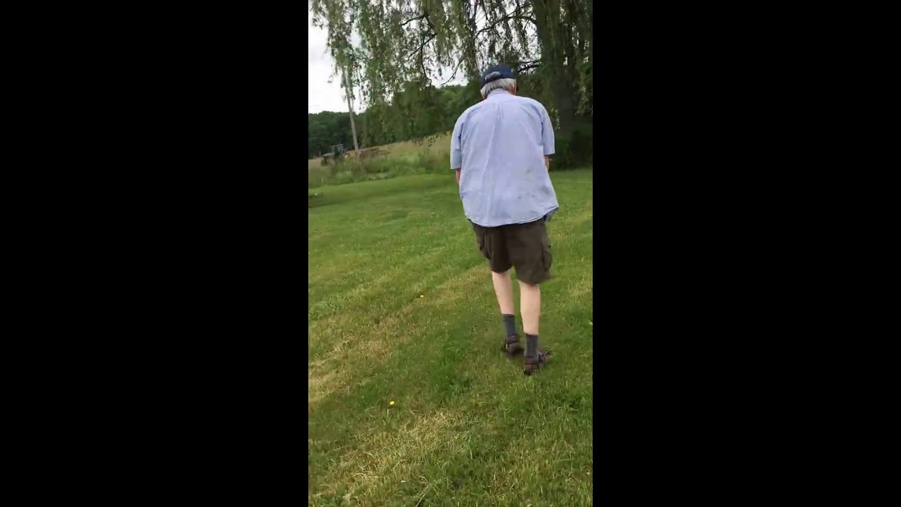 How to pick up a snapping turtle safely - YouTube