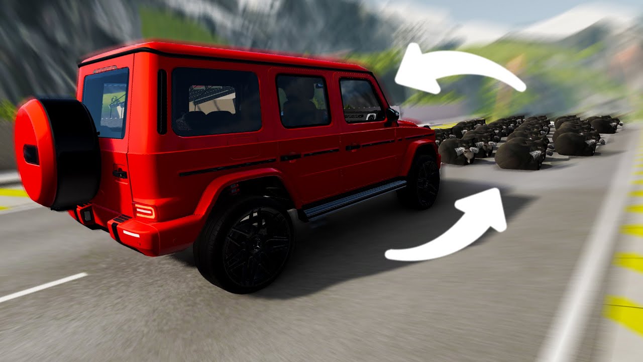 CARS VS MAXWELL THE CAT! - BeamNG Drive! - YouTube