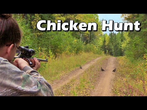 Chicken Hunting - Racing the Rain