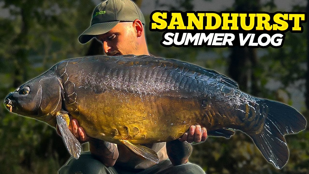 Summer Carp Fishing Vlog At Sandhurst Lake - YouTube