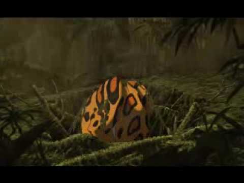 Tarzan leopard fight - YouTube