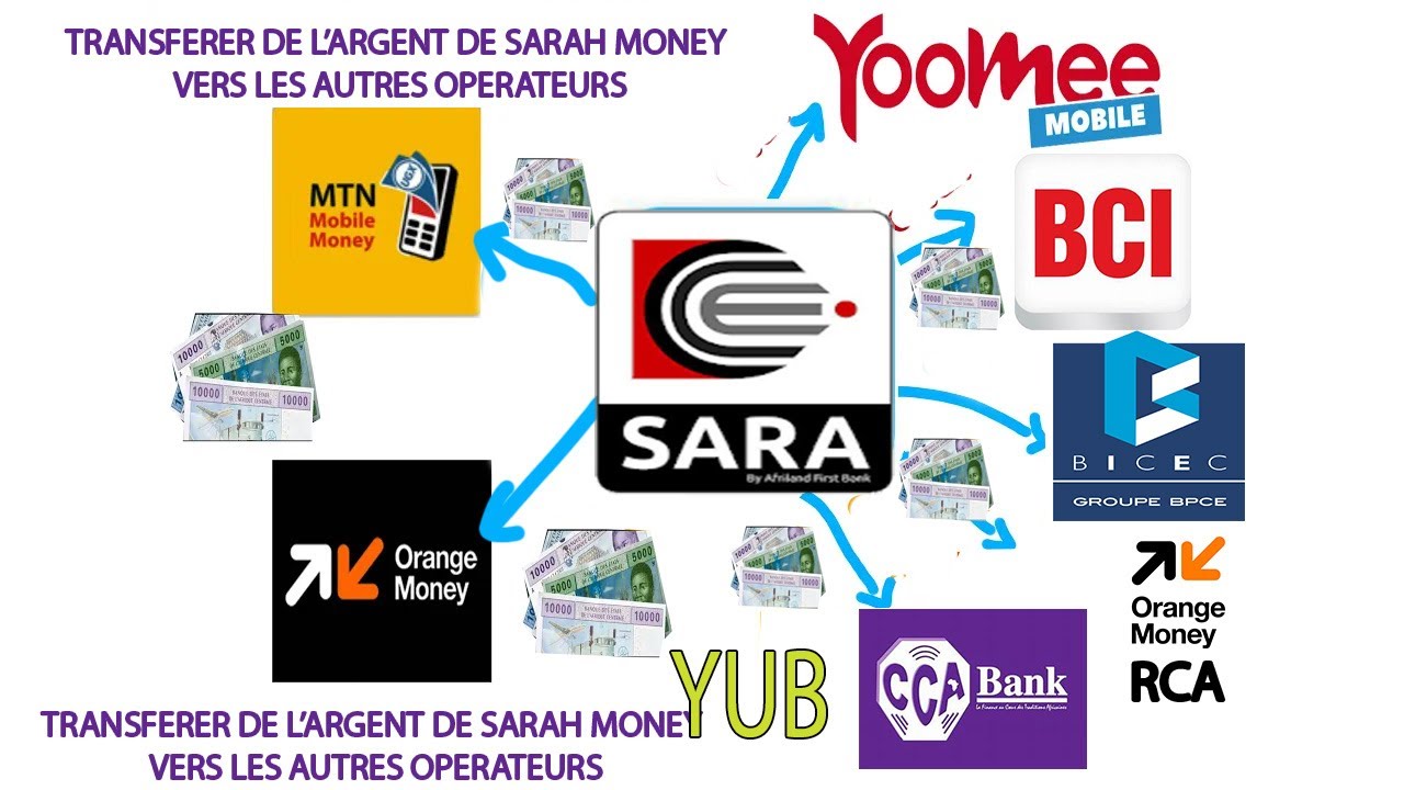 COMMENT TRANSFERER DE L'ARGENT DE SARAH MONEY VERS VERS UNE DIZAINE D ...