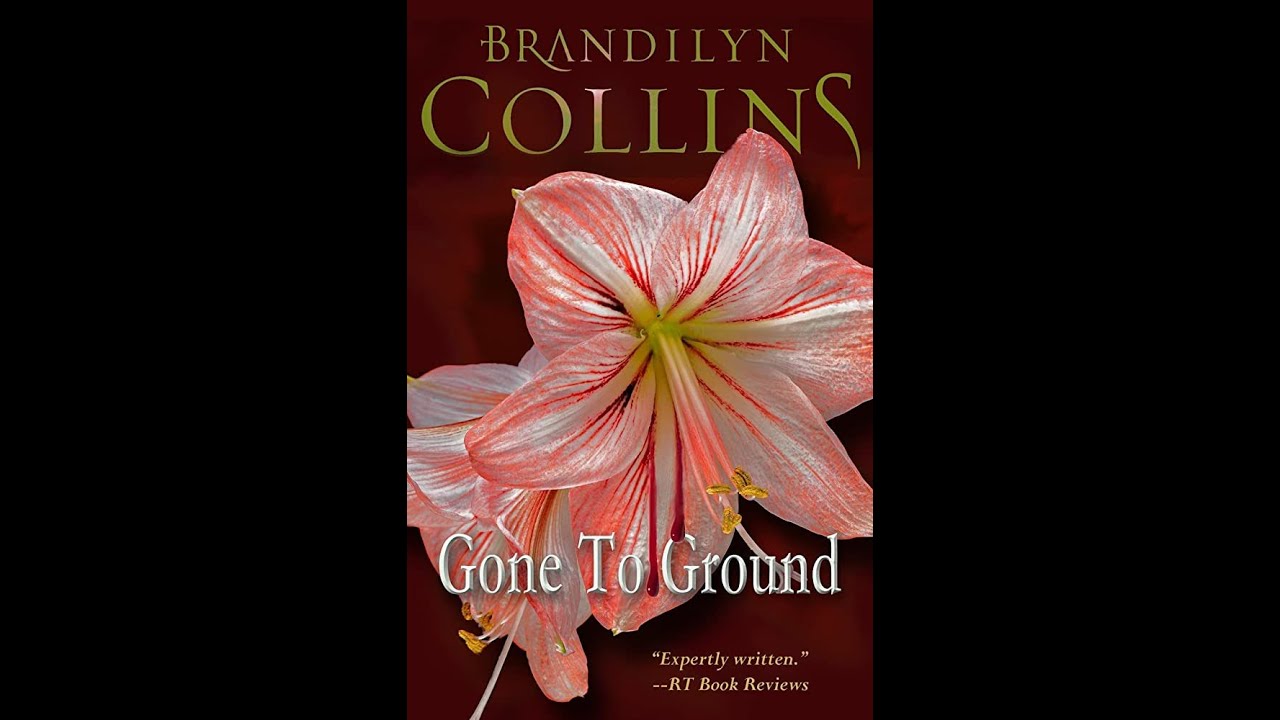 Plot summary, “Gone to Ground” by Brandilyn Collins in 6 Minutes - Book ...